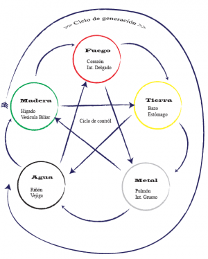 Los 5 Elementos En Medicina Tradicional China Mtc тлж Bienestarvalencia