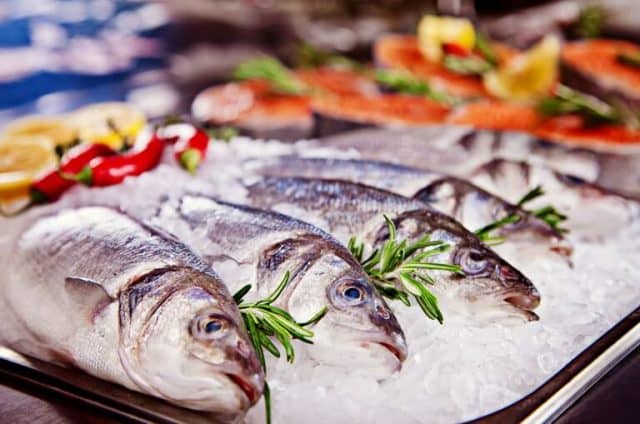 Variedades de pescado graso: lista, beneficios para la salud. ⋆