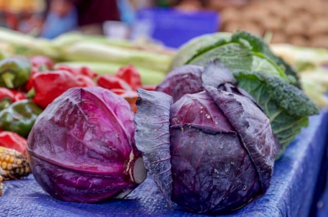 Repollo rojo: propiedades útiles y contraindicaciones. ⋆