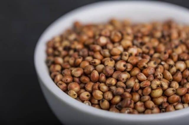 Sorgo: qué es, beneficios y perjuicios. ⋆ Bienestarvalencia.com