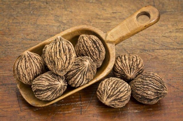 Nuez negra: propiedades útiles y contraindicaciones. ⋆